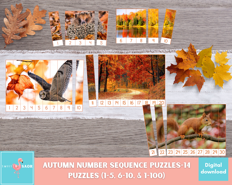 Autumn Number Sequence Puzzles, Printable Fall Number Counting Puzzle ...