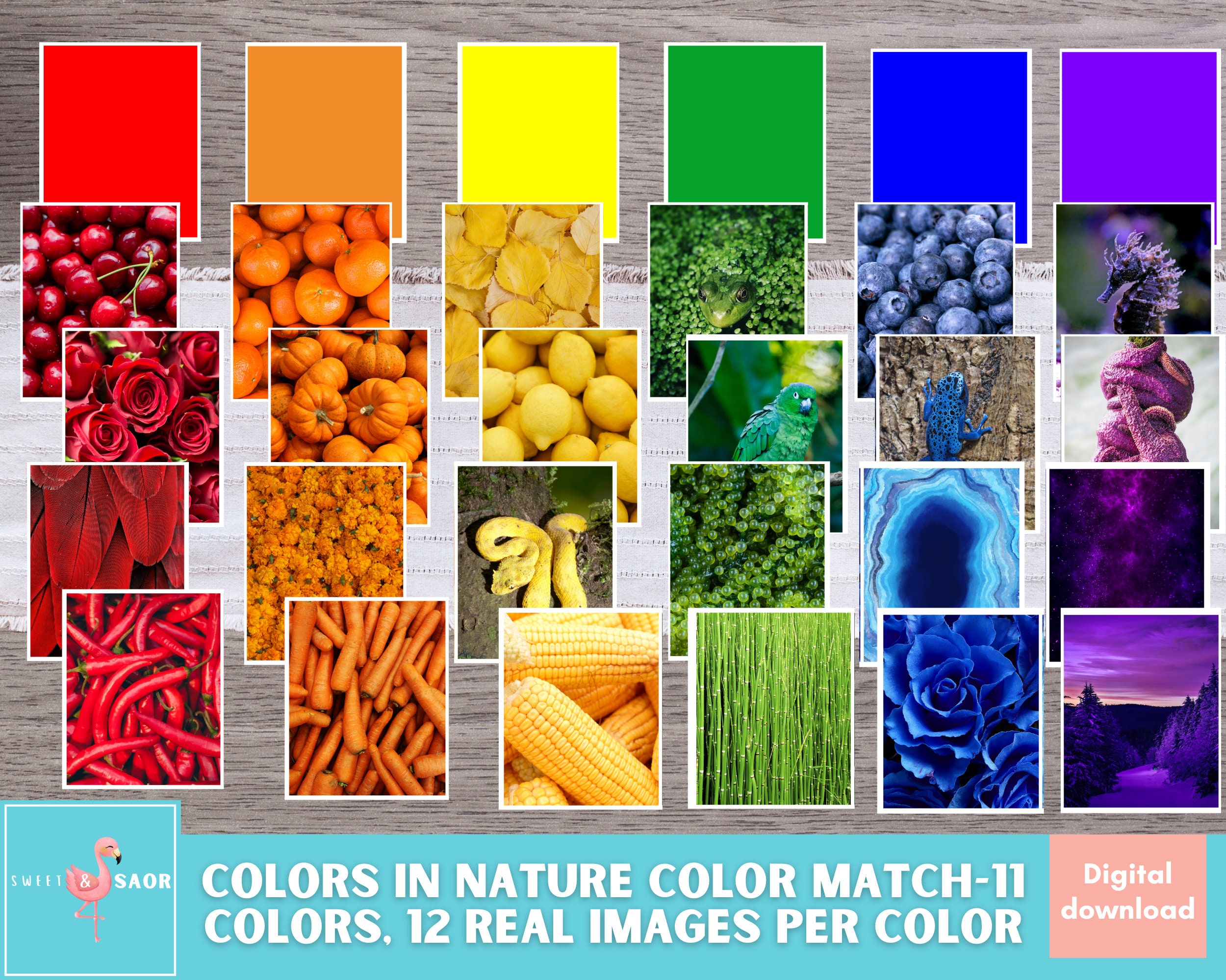 Color Matching Cards, Colors in Nature, Early Learning Instant Download ...