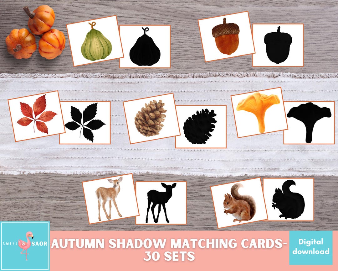Autumn Shadow Matching Cards, Fall Preschool Printable, Montessori ...
