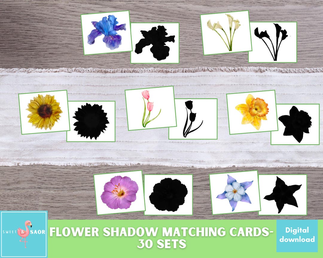 Flower Shadow Matching Game: Printable Preschool Activity (PDF Download ...
