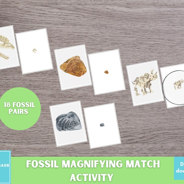 Dinosaur Magnifying Glass - Etsy