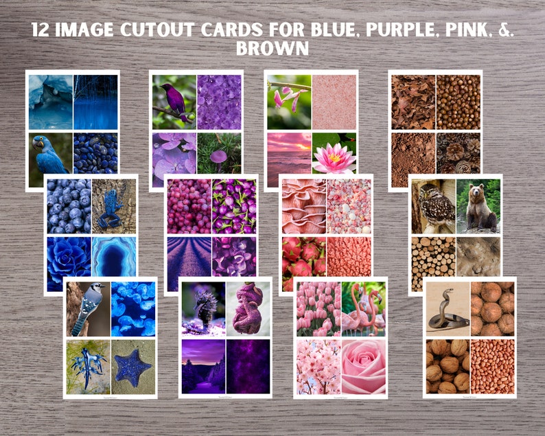 Color Matching Cards, Colors in Nature, Early Learning Instant Download ...
