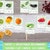 Bird Pattern Matching Game, Animal Pattern Cards, Montessori Science ...