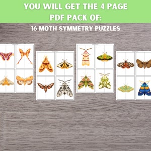 Moths Symmetry Puzzles, Montessori Inspired Printable, Matching ...
