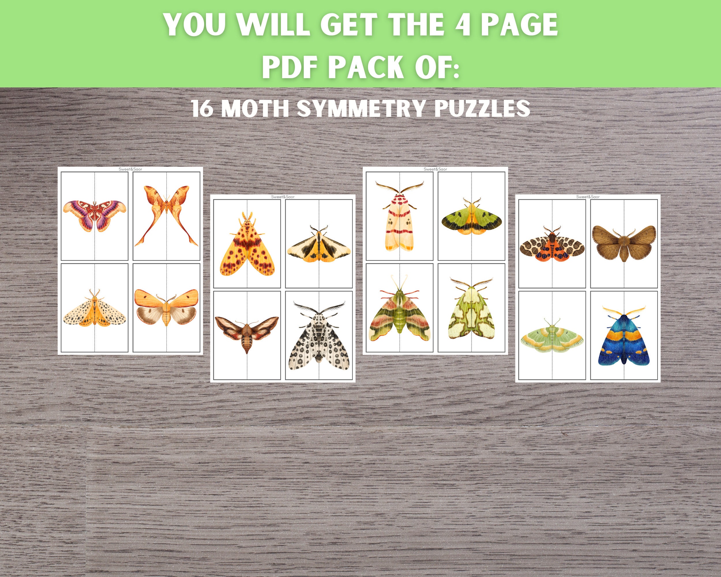 Moths Symmetry Puzzles, Montessori Inspired Printable, Matching ...