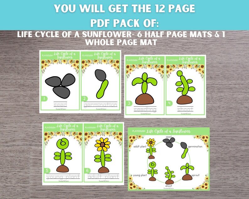 Life Cycle Playdough Mats, Sunflower Life Cycle Play Doh Activity ...