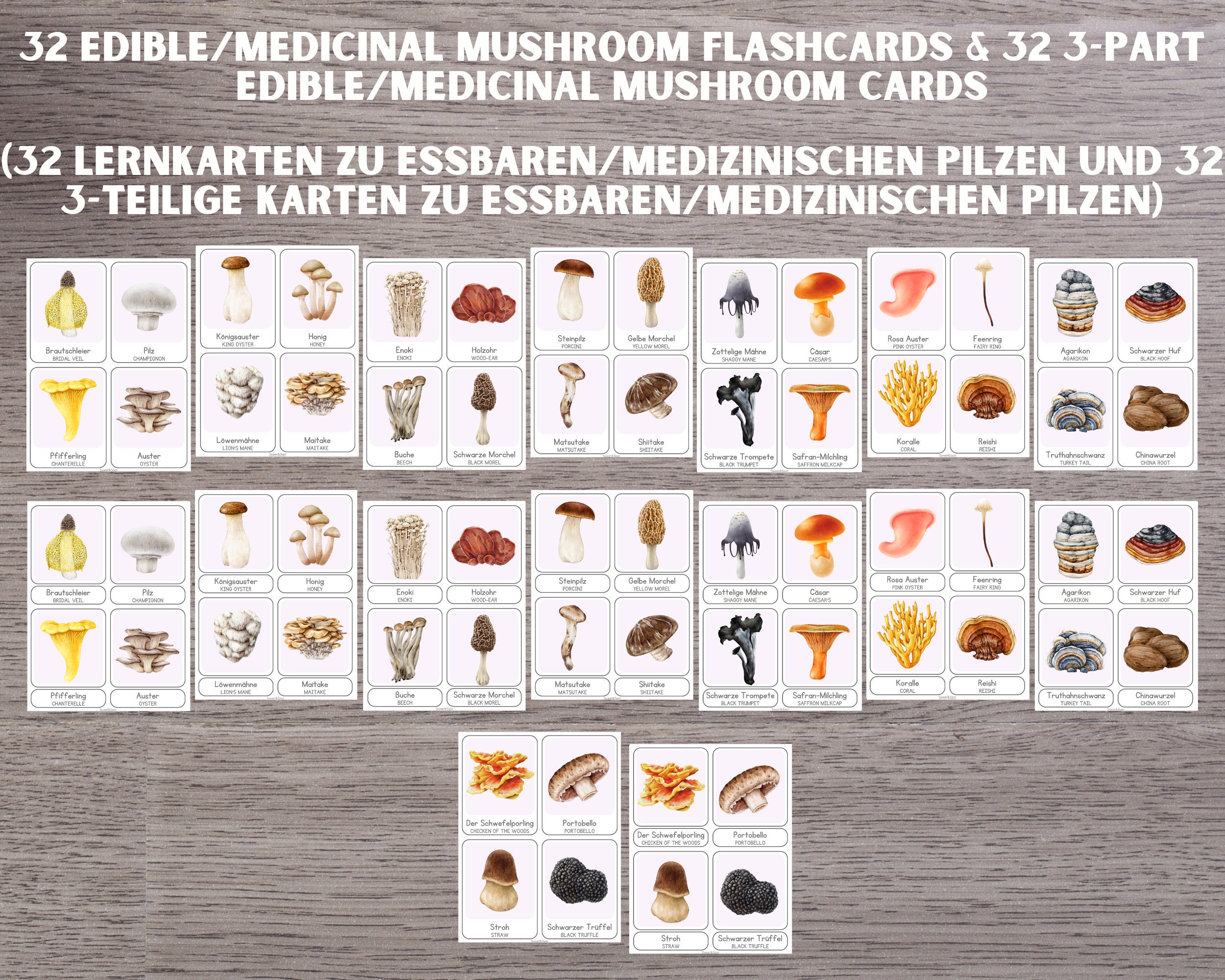 GERMAN Flashcards Bundle, Bilingual Nomenclature Cards, German English ...