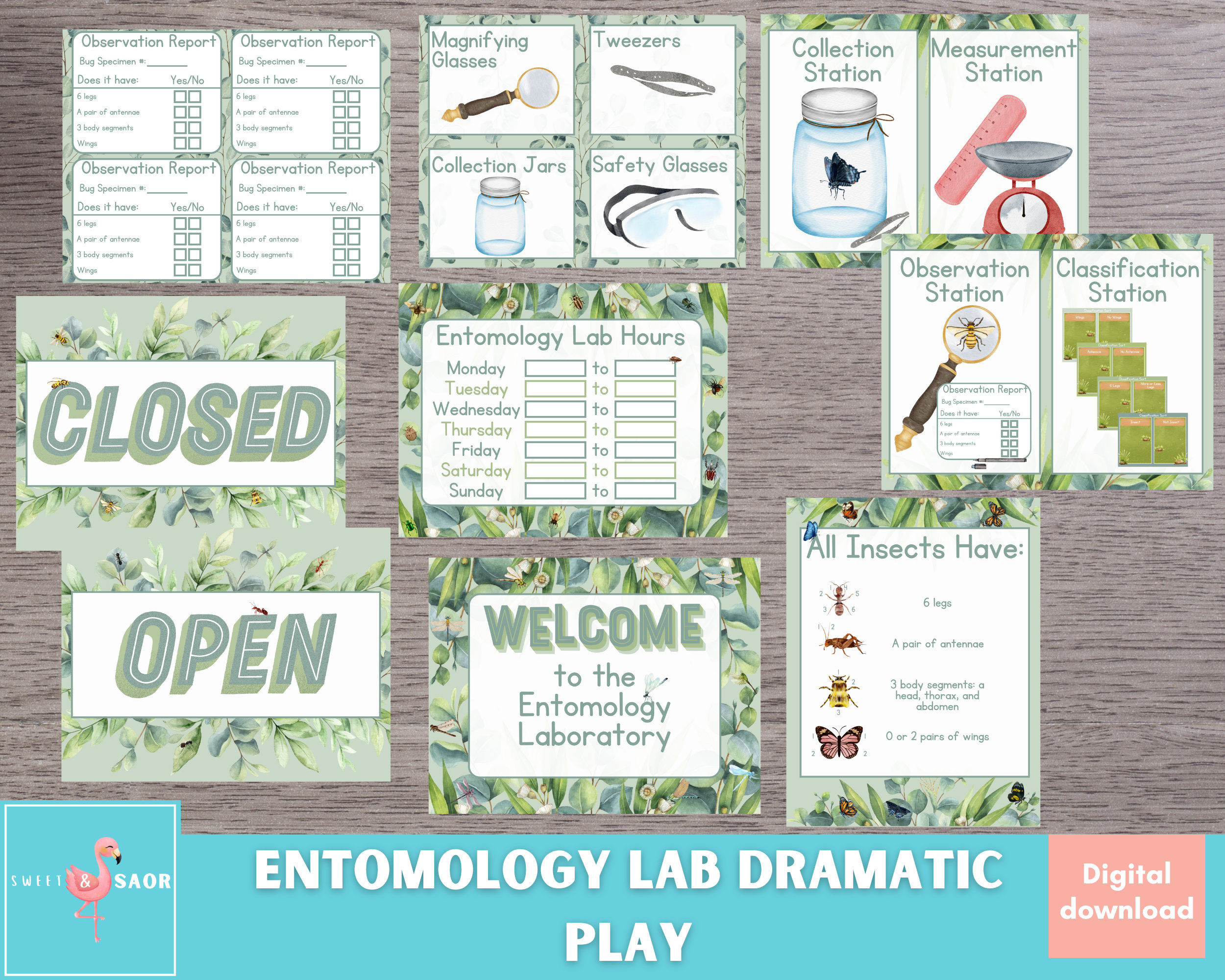 Entomology Lab Dramatic Play Set: Printable Pretend Play (PDF Download ...