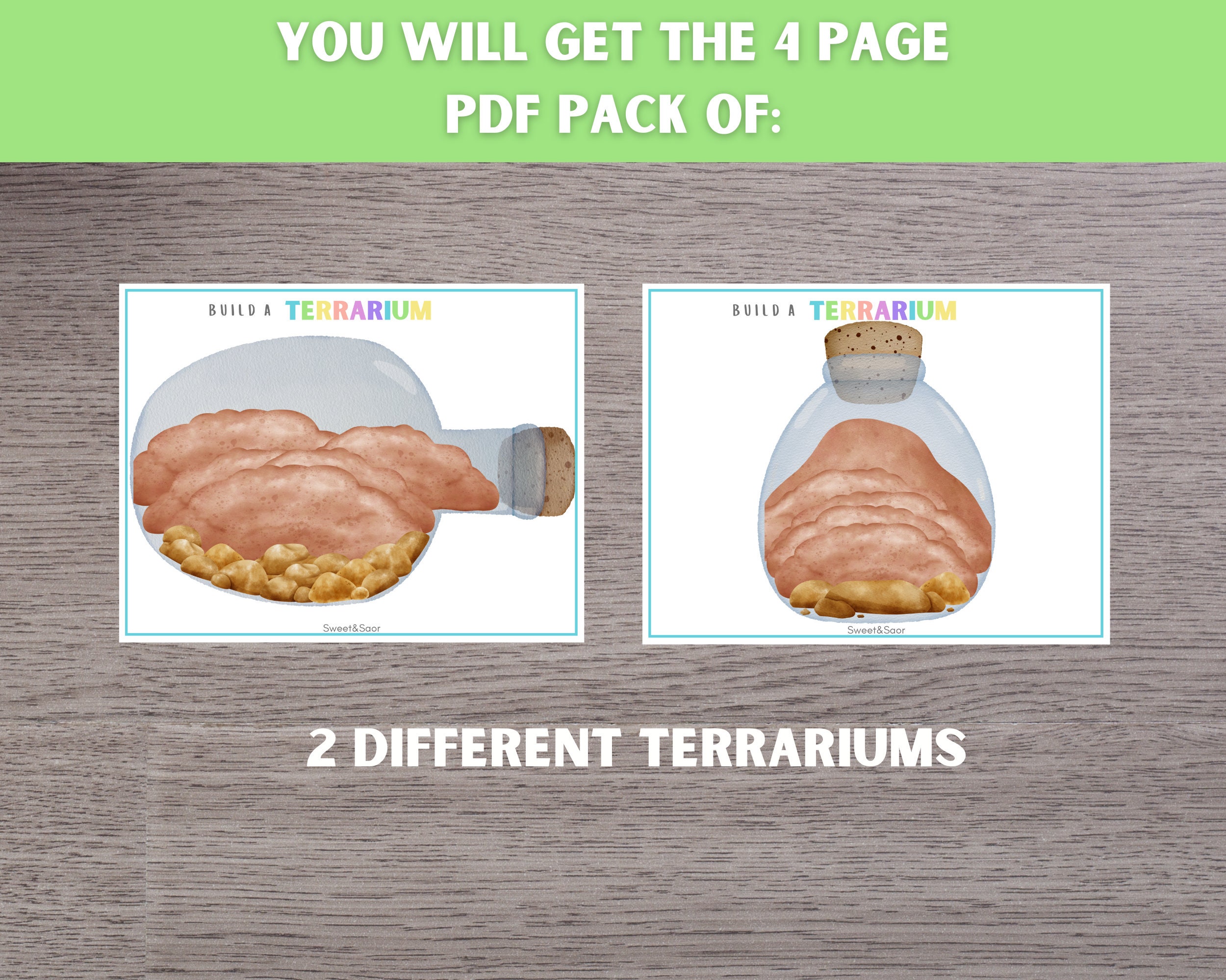 Terrarium Paper Craft Kit: Pretend Play Activity (digital Download) - Etsy