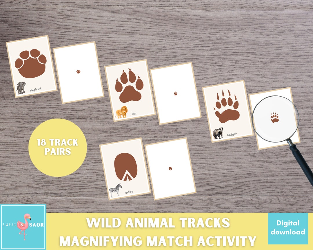 Animal Tracks Magnifying Match Activity, Magnifying Glass Game ...