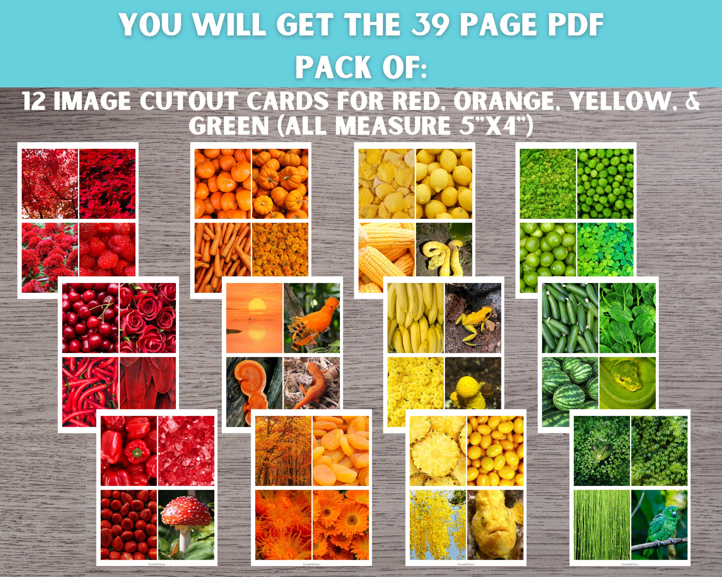 Colors in Nature Matching Cards: Montessori Homeschool Printable ...