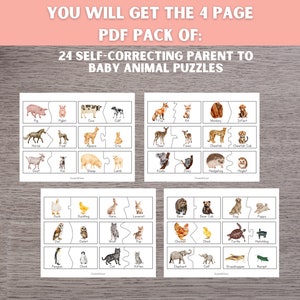 Mother and Baby Animal Matching Activity, Spring Self-correcting ...