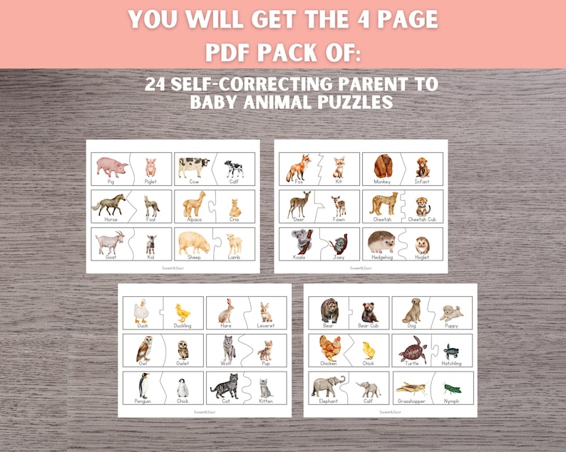 Mother and Baby Animal Matching Activity, Spring Self-correcting ...