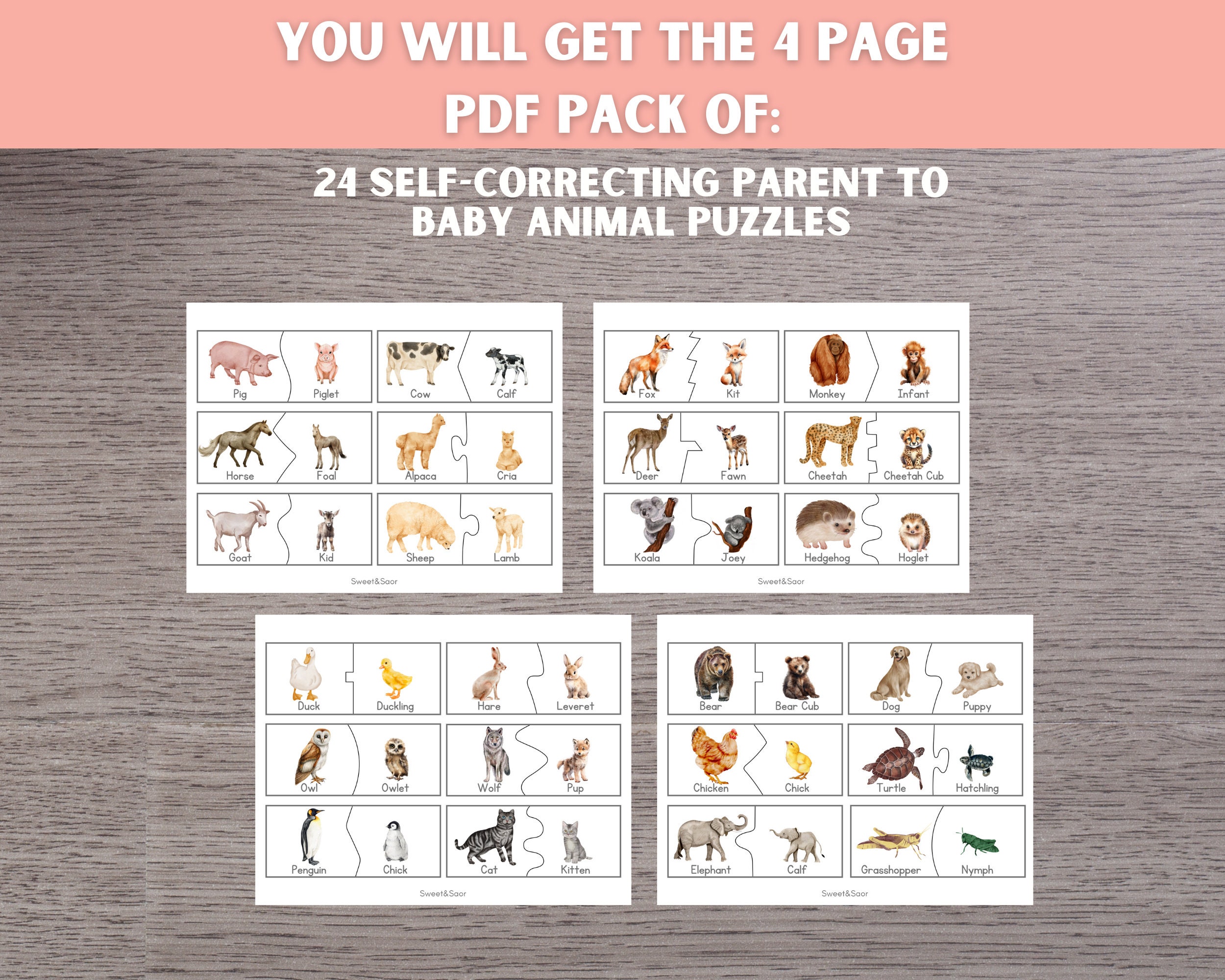 Mother & Baby Animal Matching Puzzle: Montessori Nature Study (digital ...