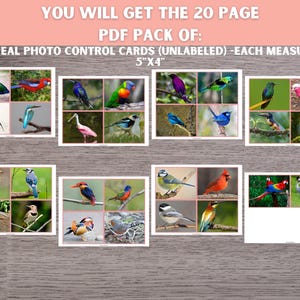 Bird Pattern Matching Game, Animal Pattern Cards, Montessori Science ...