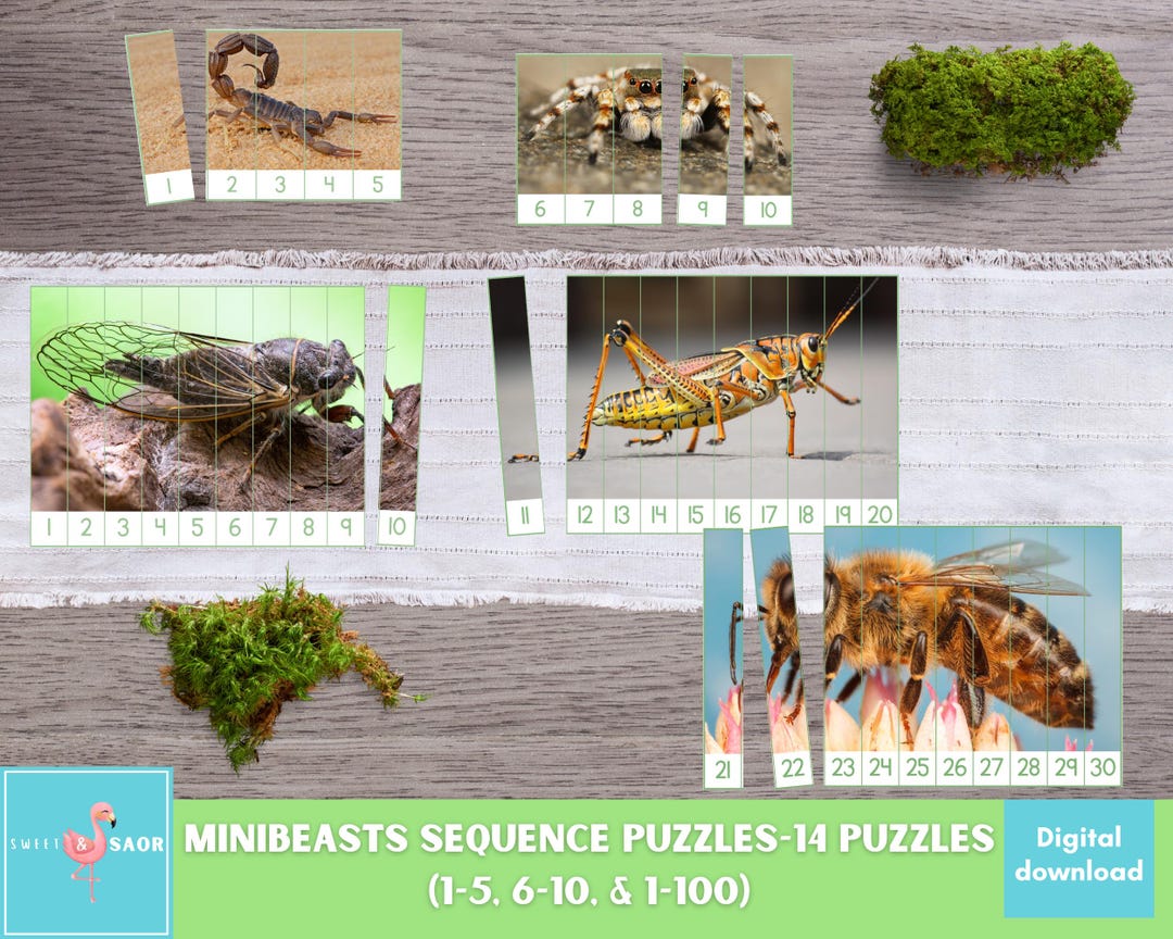Insect Number Sequencing Puzzles: Montessori Math Activity (PDF ...