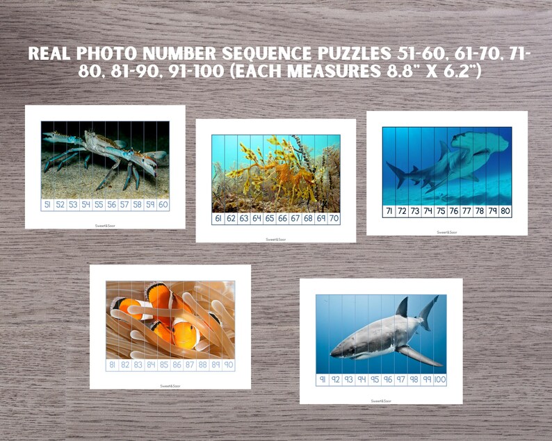 Ocean Animal Number Sequencing Puzzle: Montessori Math Game (PDF ...