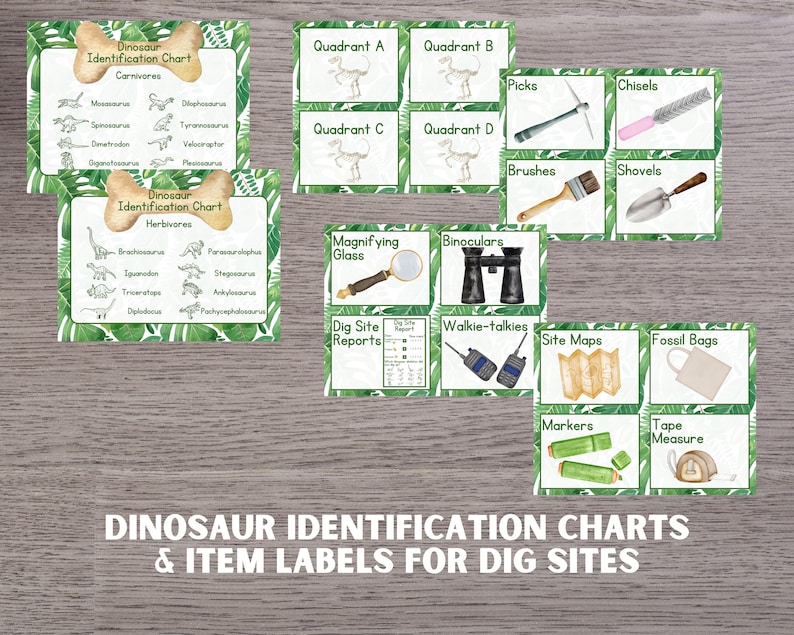 Dinosaur Dig Dramatic Play Set: Printable Paleontology Pretend Play ...