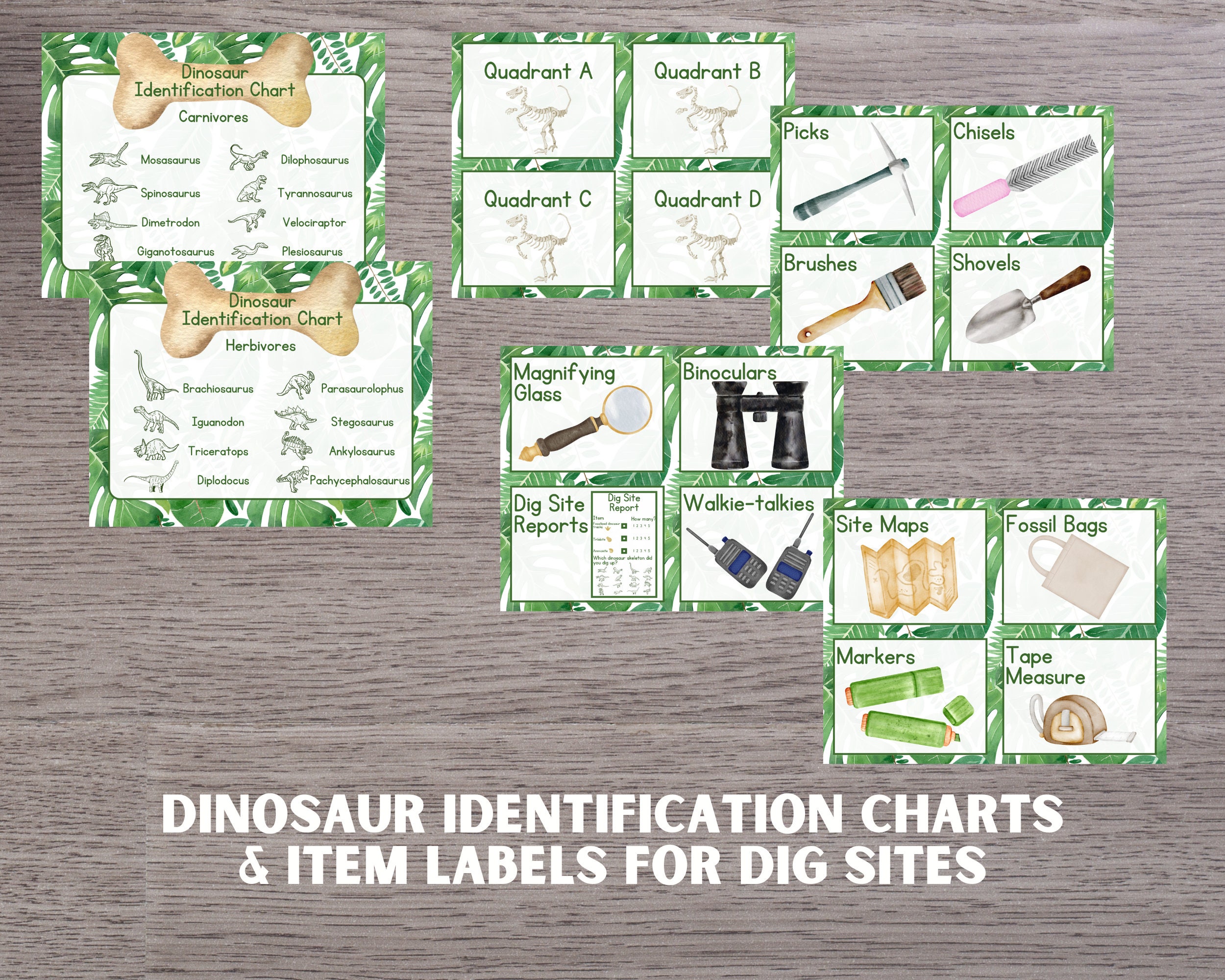 Dinosaur Pretend Play, Paleontology Dramatic Play, Classroom Dramatic ...