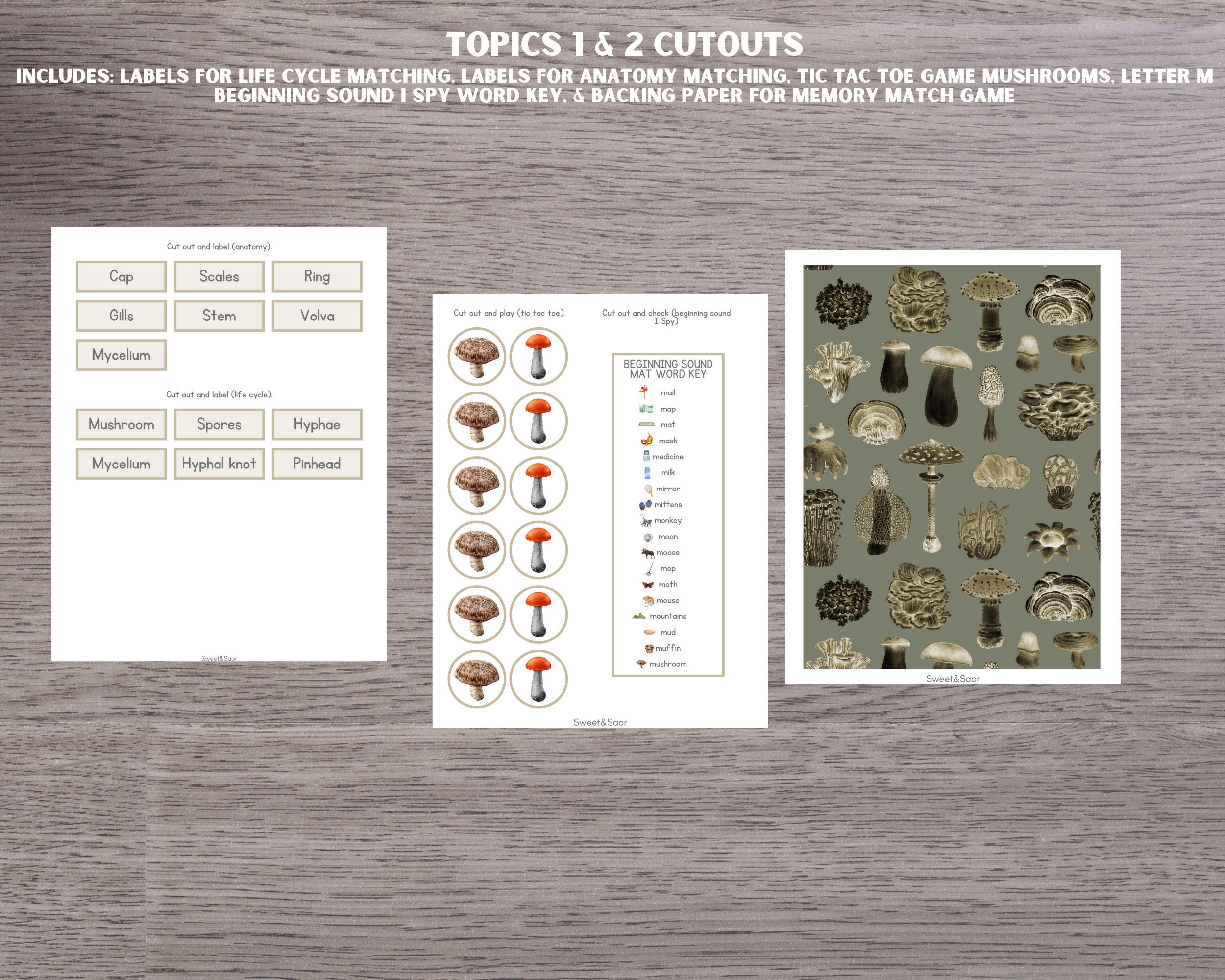 Mushroom Unit Study: Life Cycle, Anatomy, Identification (PDF Download ...