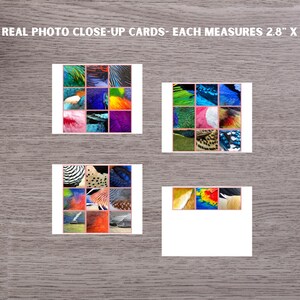 Bird Pattern Matching Game, Animal Pattern Cards, Montessori Science ...