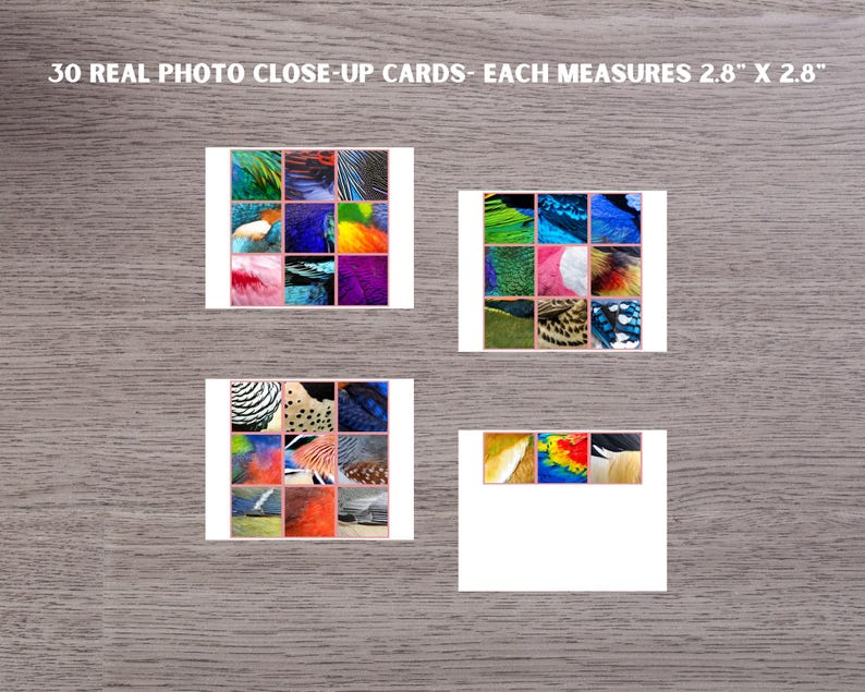 Bird Pattern Matching Game, Animal Pattern Cards, Montessori Science ...