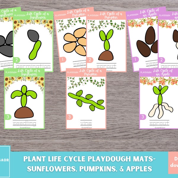 Playdough Life Cycle - Etsy