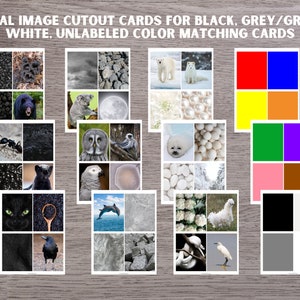 Colors in Nature Matching Cards: Montessori Homeschool Printable ...