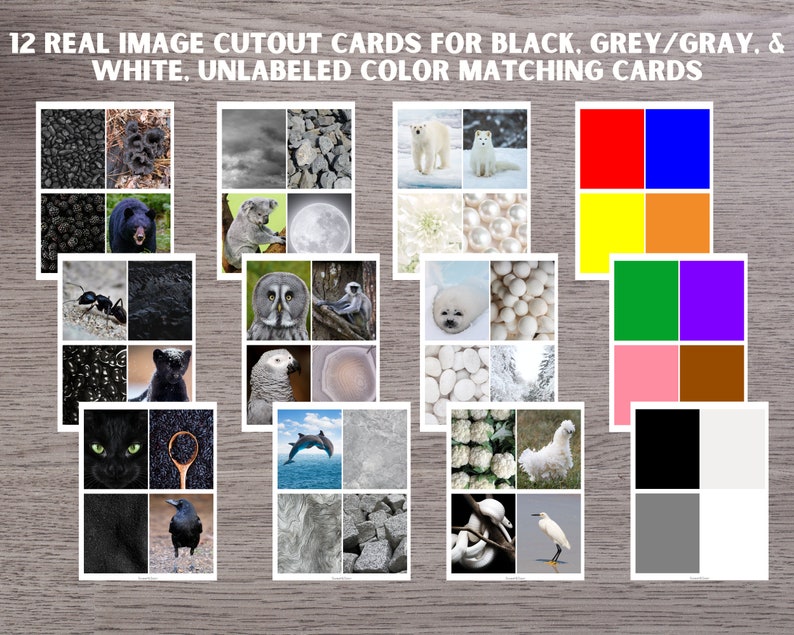 Color Matching Cards, Colors in Nature, Early Learning Instant Download ...