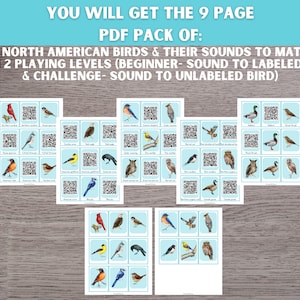 Birds and Their Sounds Printable, North American Bird Sound Identifier ...