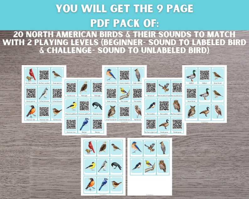 Birds and Their Sounds Printable, North American Bird Sound Identifier ...