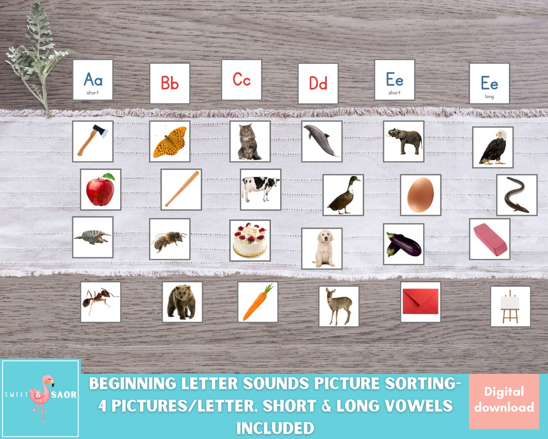 Beginning Sounds Sorting Cards, Preschool Letter Sounds Picture ...