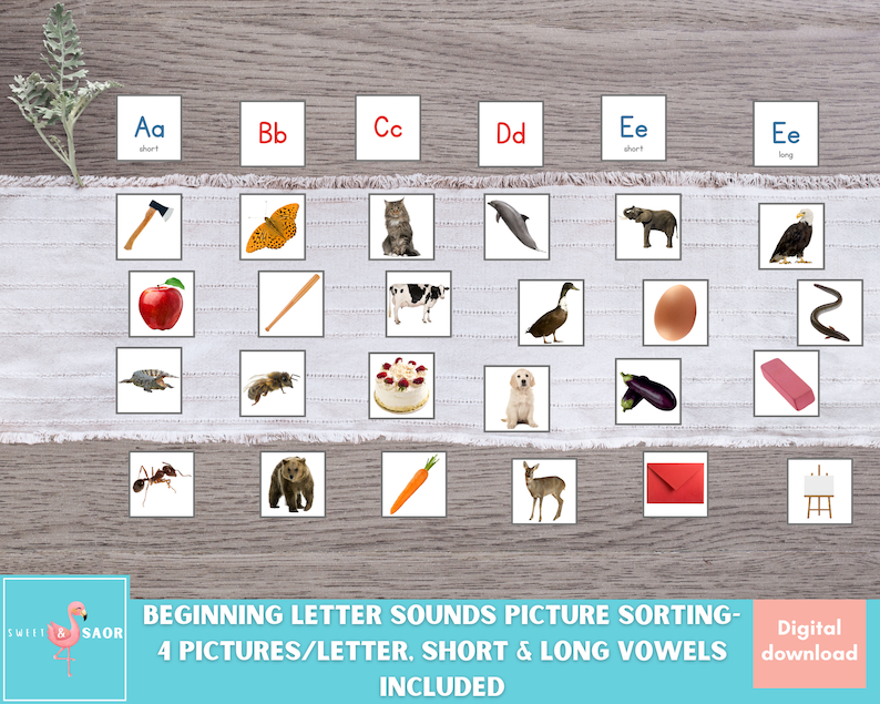 Beginning Sounds Sorting Cards, Preschool Letter Sounds Picture ...