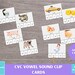 CVC Vowel Sound Clip Cards, Phonics Printable, CVC Middle Sounds Clip ...