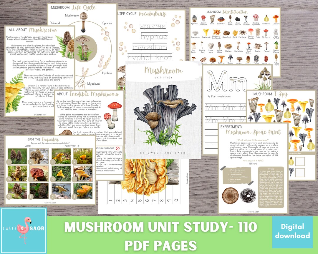Mushroom Unit Study: Life Cycle, Anatomy, Identification (PDF Download ...