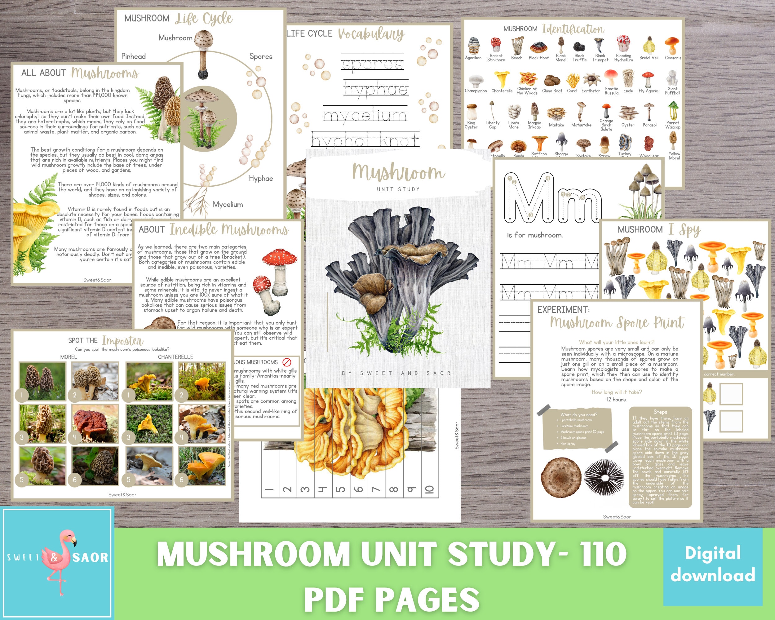 Mushroom Unit Study: Life Cycle, Anatomy, Identification (PDF Download ...