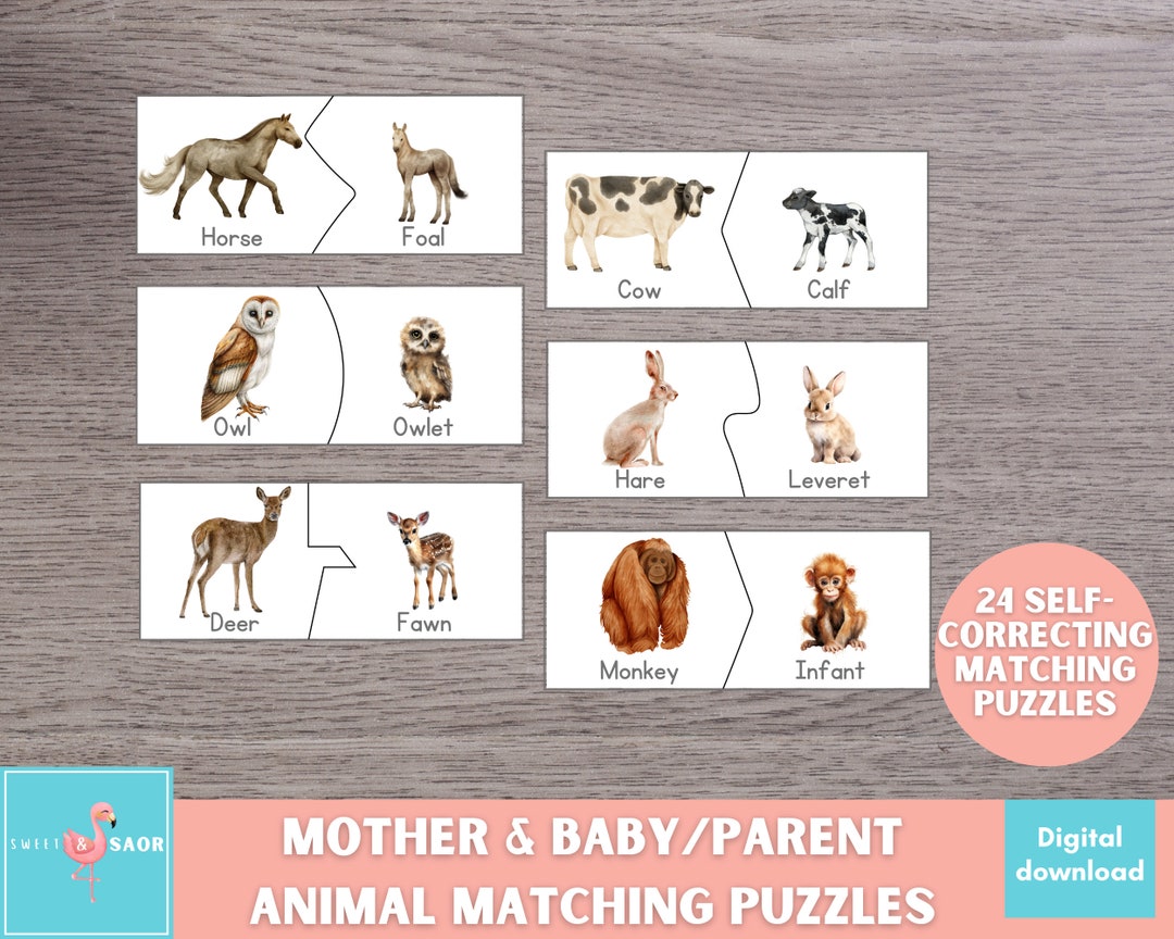 Mother and Baby Animal Matching Activity, Spring Self-correcting ...