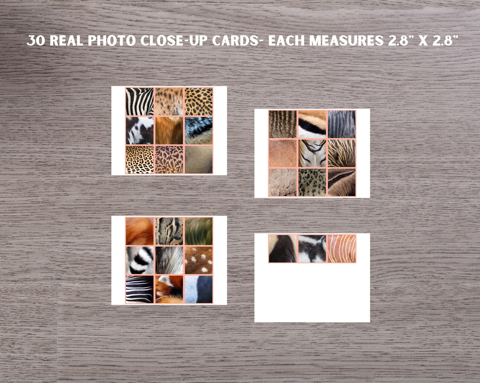 Animal Pattern Matching Printable Cards, Montessori Mammals of the ...