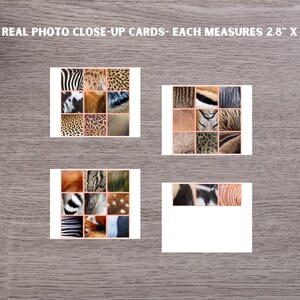 Animal Pattern Matching Printable Cards, Montessori Mammals of the ...