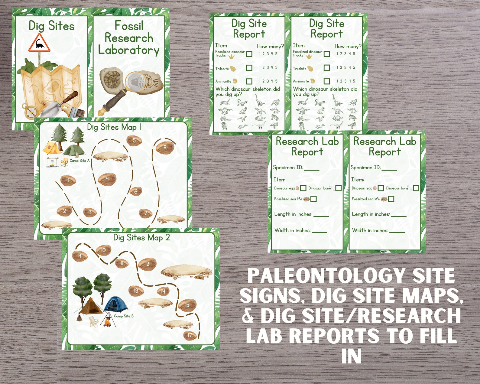 Dinosaur Dig Dramatic Play Set: Printable Paleontology Pretend Play ...