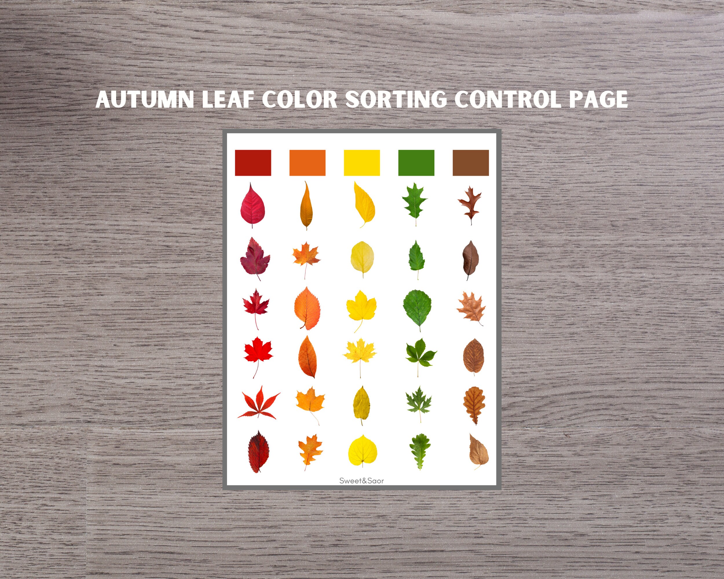 Autumn Leaves Color Sorting Cards: Montessori Preschool Printable (PDF ...