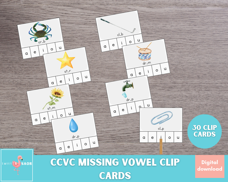 CCVC Words Missing Vowel Clip Cards, Blue Series Reading Printable ...