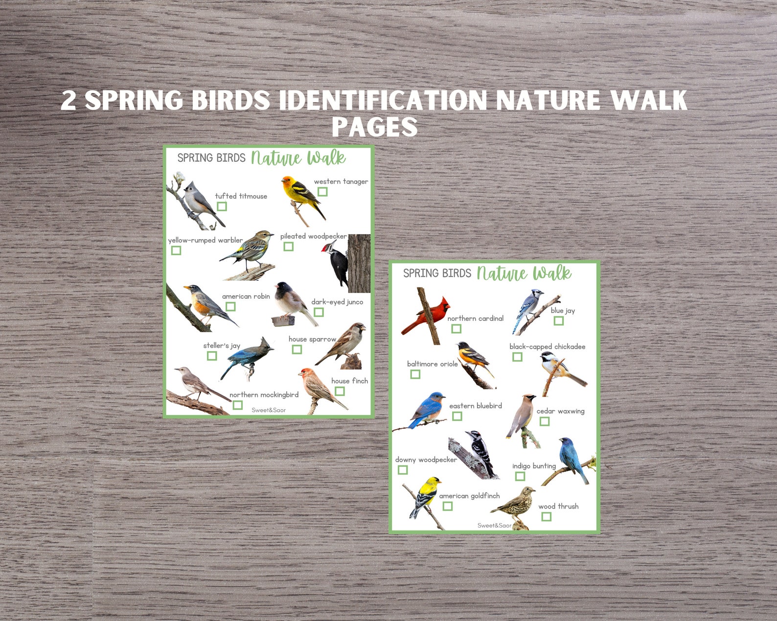 Spring Scavenger Hunt Printable, Spring Nature Walk, Outdoor Sensory ...