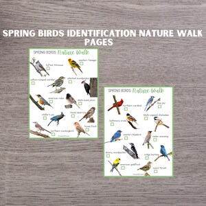 Spring Scavenger Hunt Printable, Spring Nature Walk, Outdoor Sensory ...