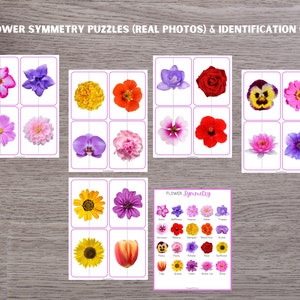 Nature Symmetry Puzzles, Printable Flower Matching Cards, Fruits Slices ...