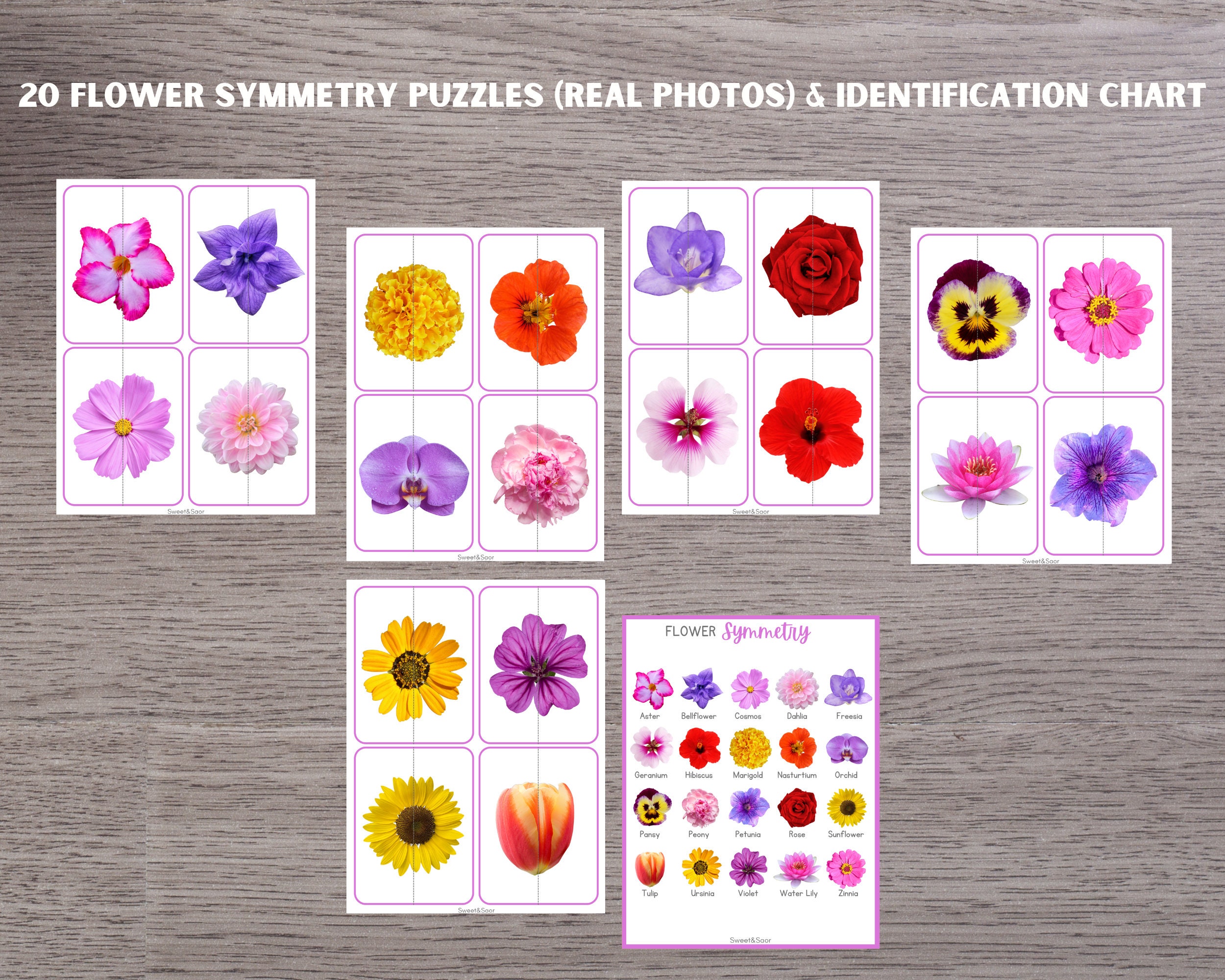 Nature Symmetry Matching Cards: Flower, Fruit, Vegetable (digital ...
