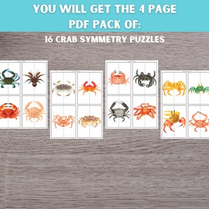 Crabs Symmetry Puzzles, Montessori Inspired Printable, Ocean Matching ...