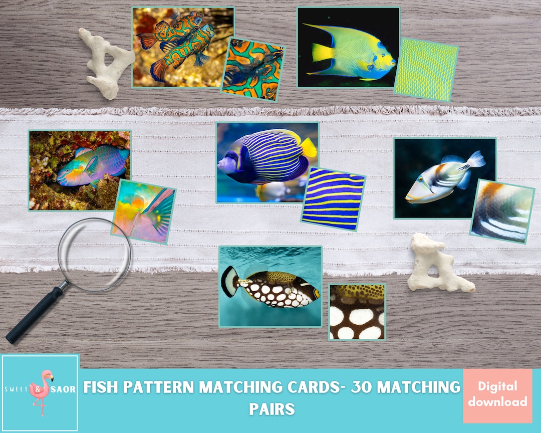 Fish Pattern Matching Activity, Montessori Visual Skills Printable ...