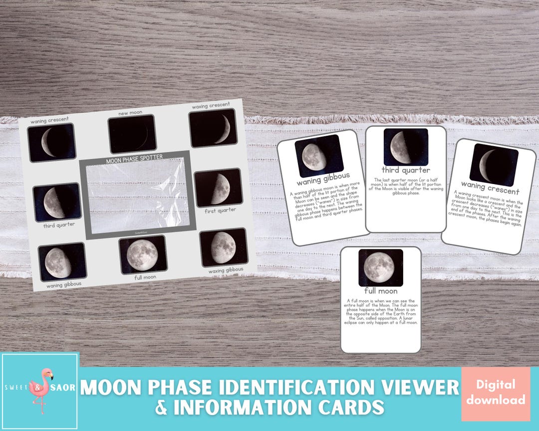 Moon Phase Viewer & Flashcards: Printable Space Study (PDF Download) - Etsy