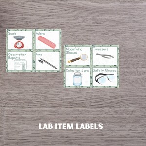 Entomology Lab Dramatic Play Set: Printable Pretend Play (PDF Download ...